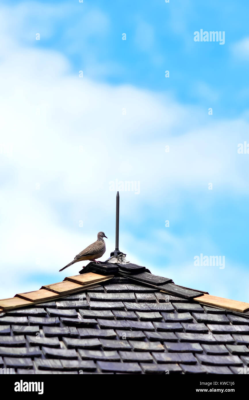 Blitzableiter turm -Fotos und -Bildmaterial in hoher Auflösung – Alamy