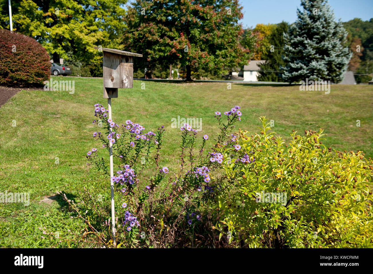 BIRD HOUSE IN REGEN GARTEN IN REGENWASSER RÜCKHALTEBECKEN ...