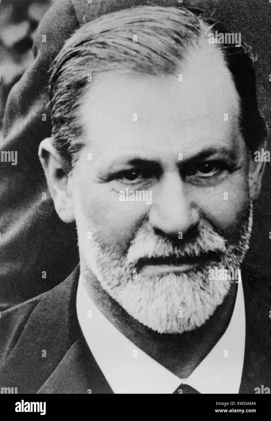 Sigmund freud universität -Fotos und -Bildmaterial in hoher Auflösung ...