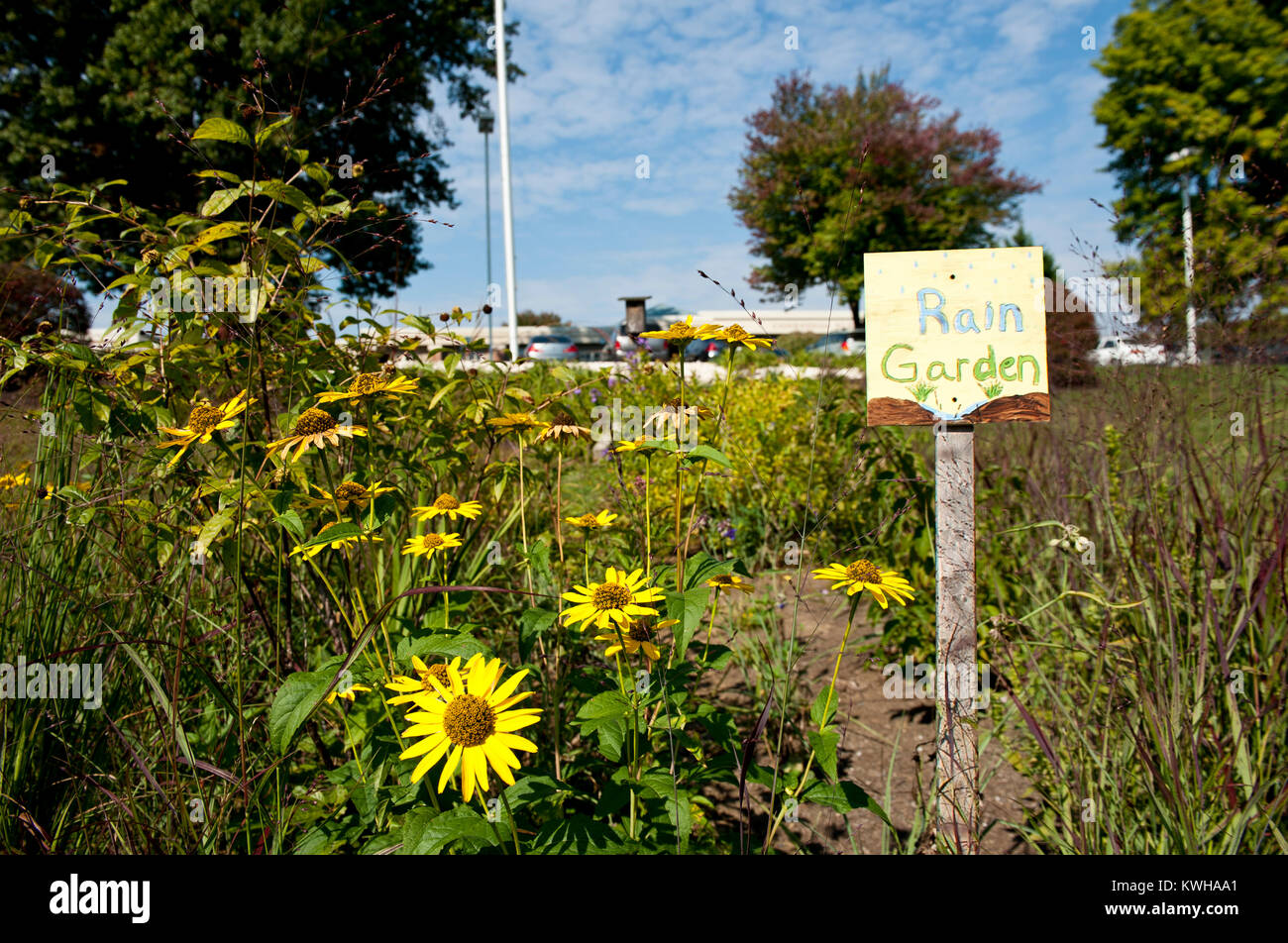 Regen im Garten REGENWASSER RÜCKHALTEBECKEN Stockfotografie - Alamy