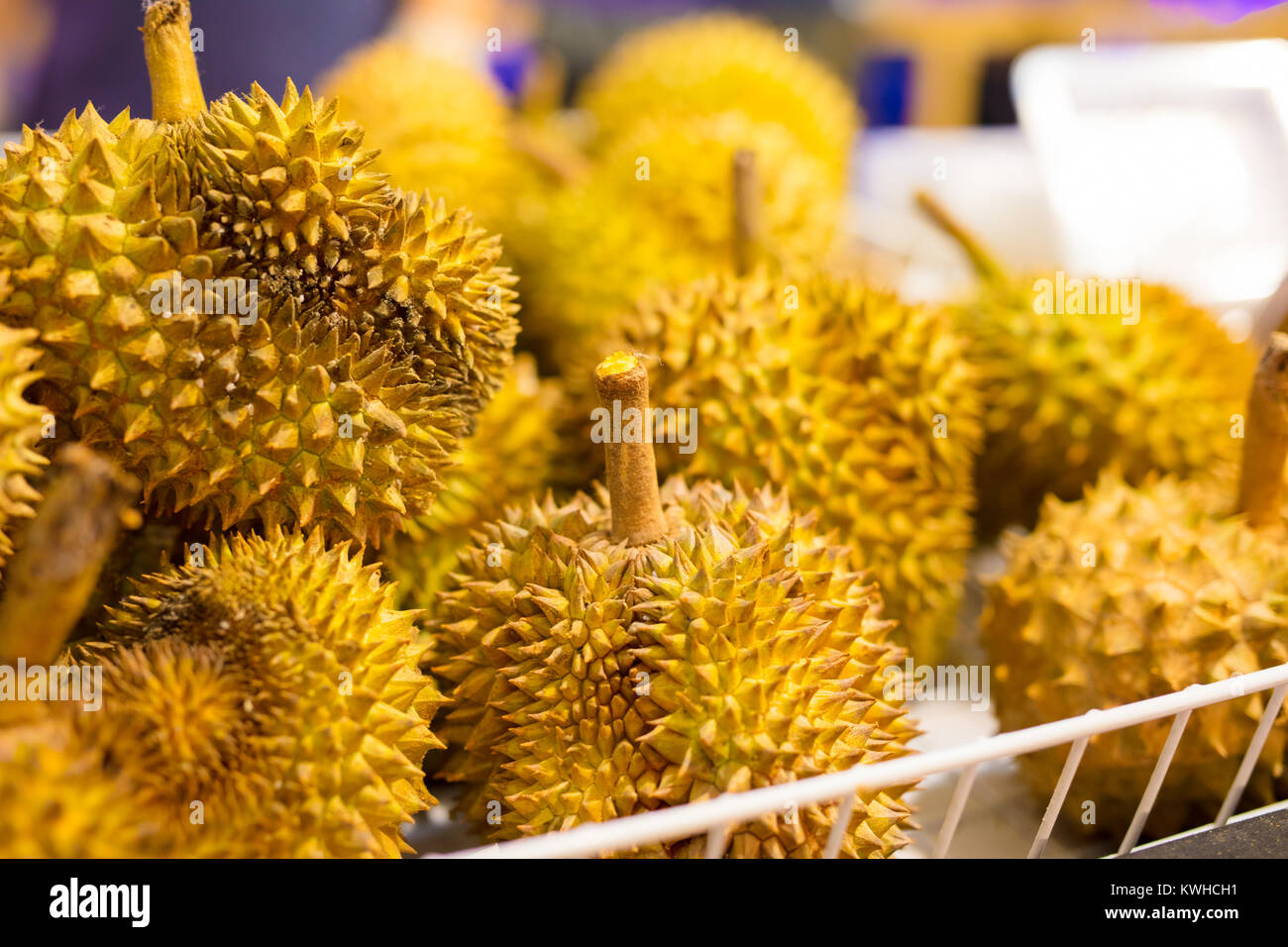Frischer durian -Fotos und -Bildmaterial in hoher Auflösung – Alamy