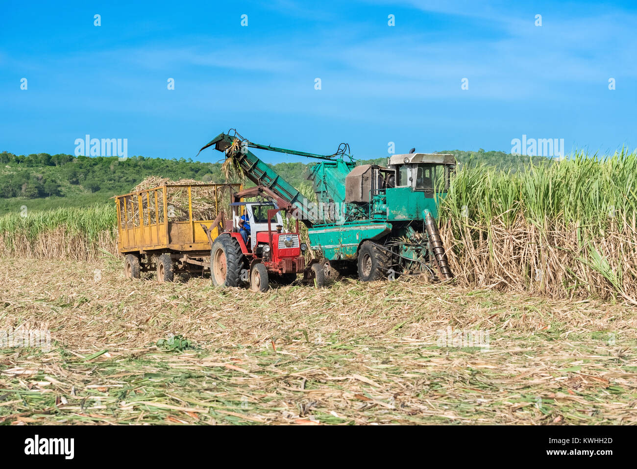 Kuba zuckerrohr -Fotos und -Bildmaterial in hoher Auflösung – Alamy