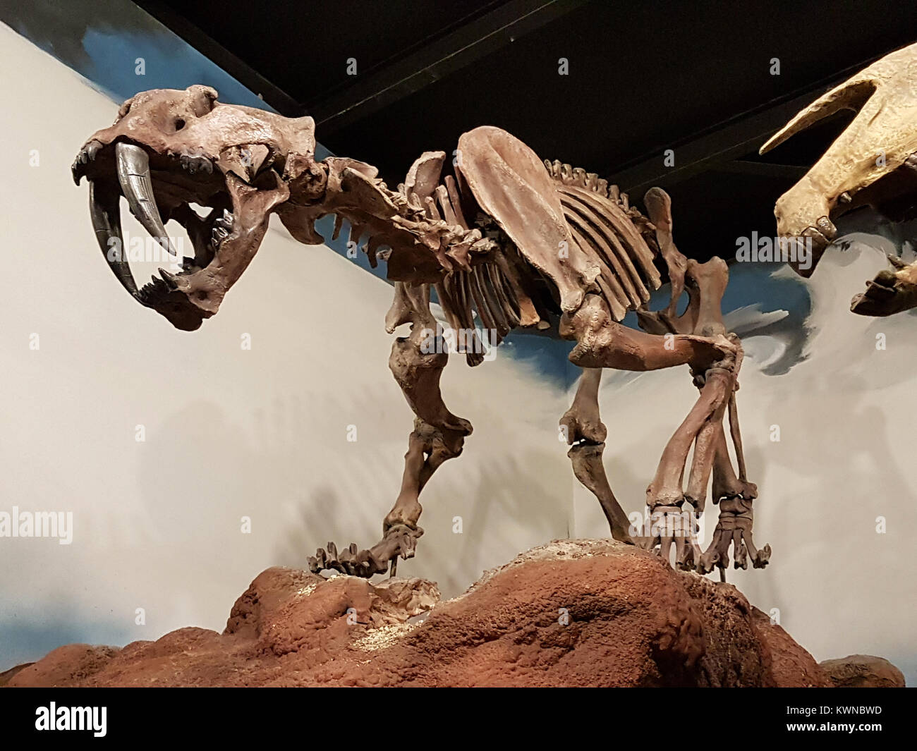 Fossile freie welt -Fotos und -Bildmaterial in hoher Auflösung – Alamy