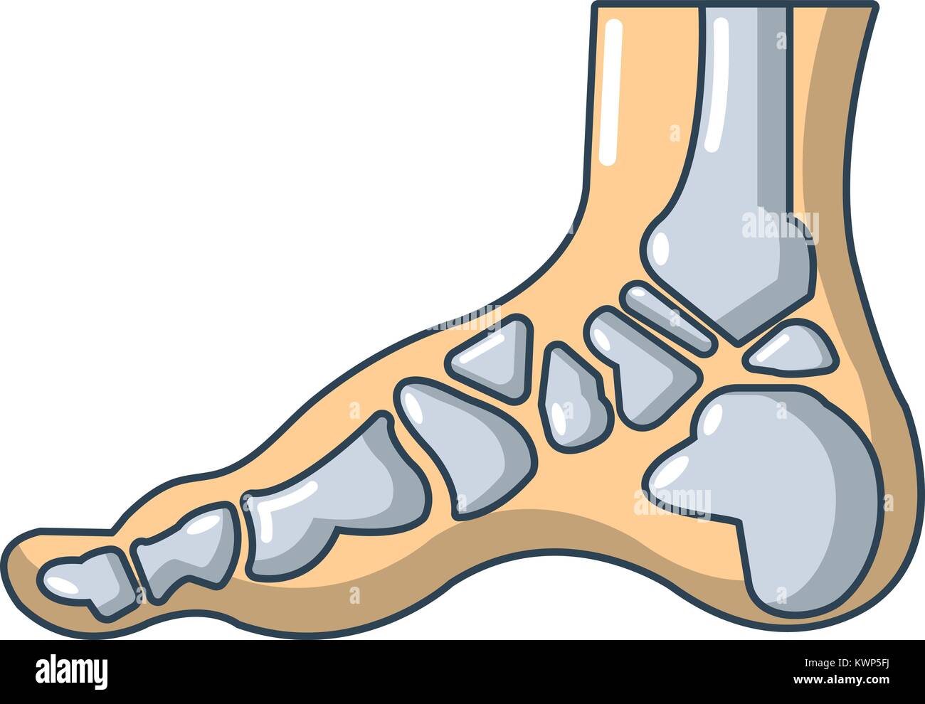 Xray von Fuß-Symbol, Cartoon Stil Stock-Vektorgrafik - Alamy