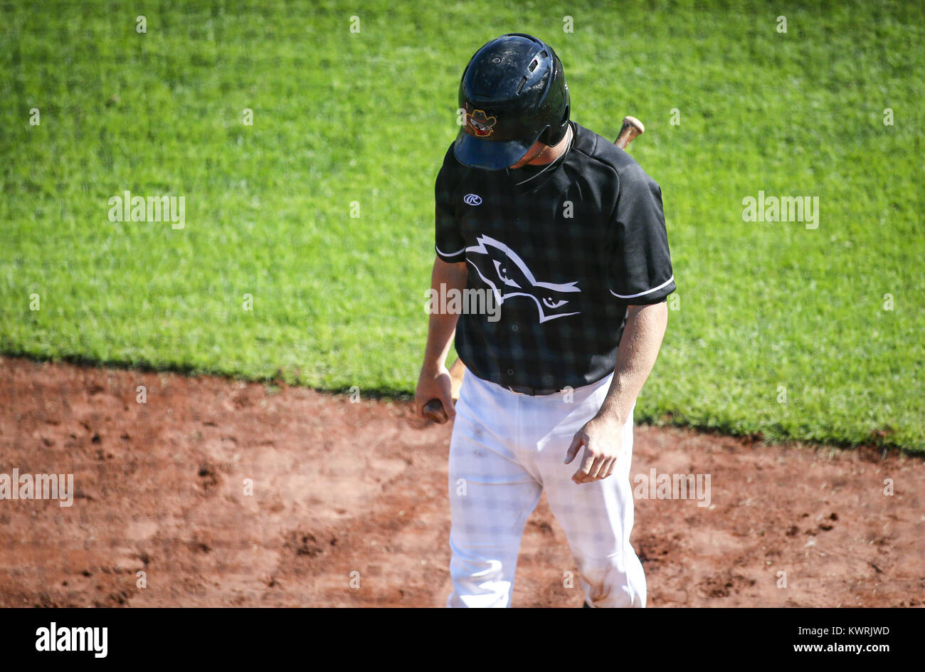 Davenport, Iowa, USA. 23 Apr, 2017. River Bandits catcher Jake Rogers ...
