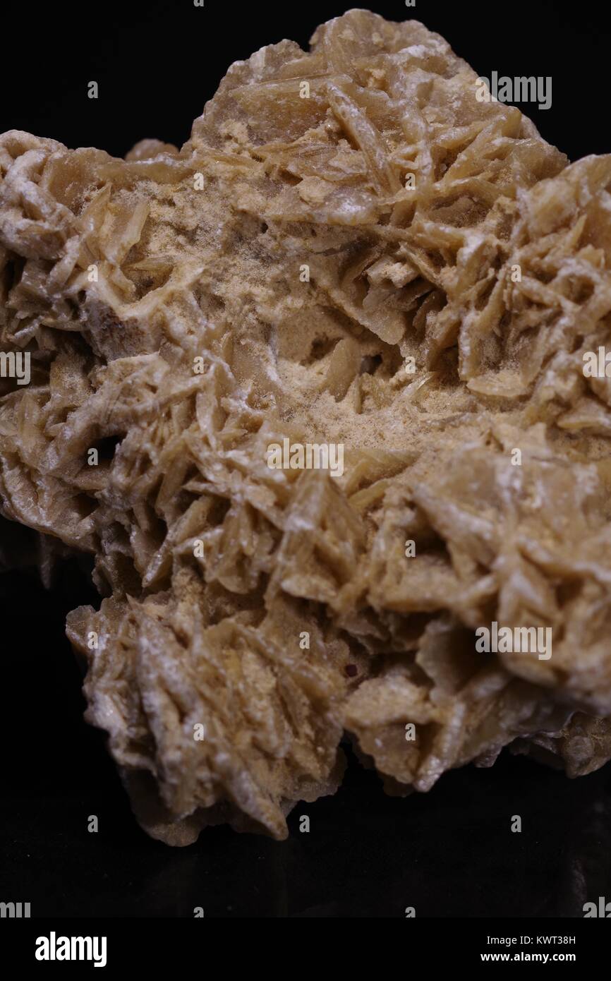 Gypsum Rose Stockfotos und -bilder Kaufen - Alamy