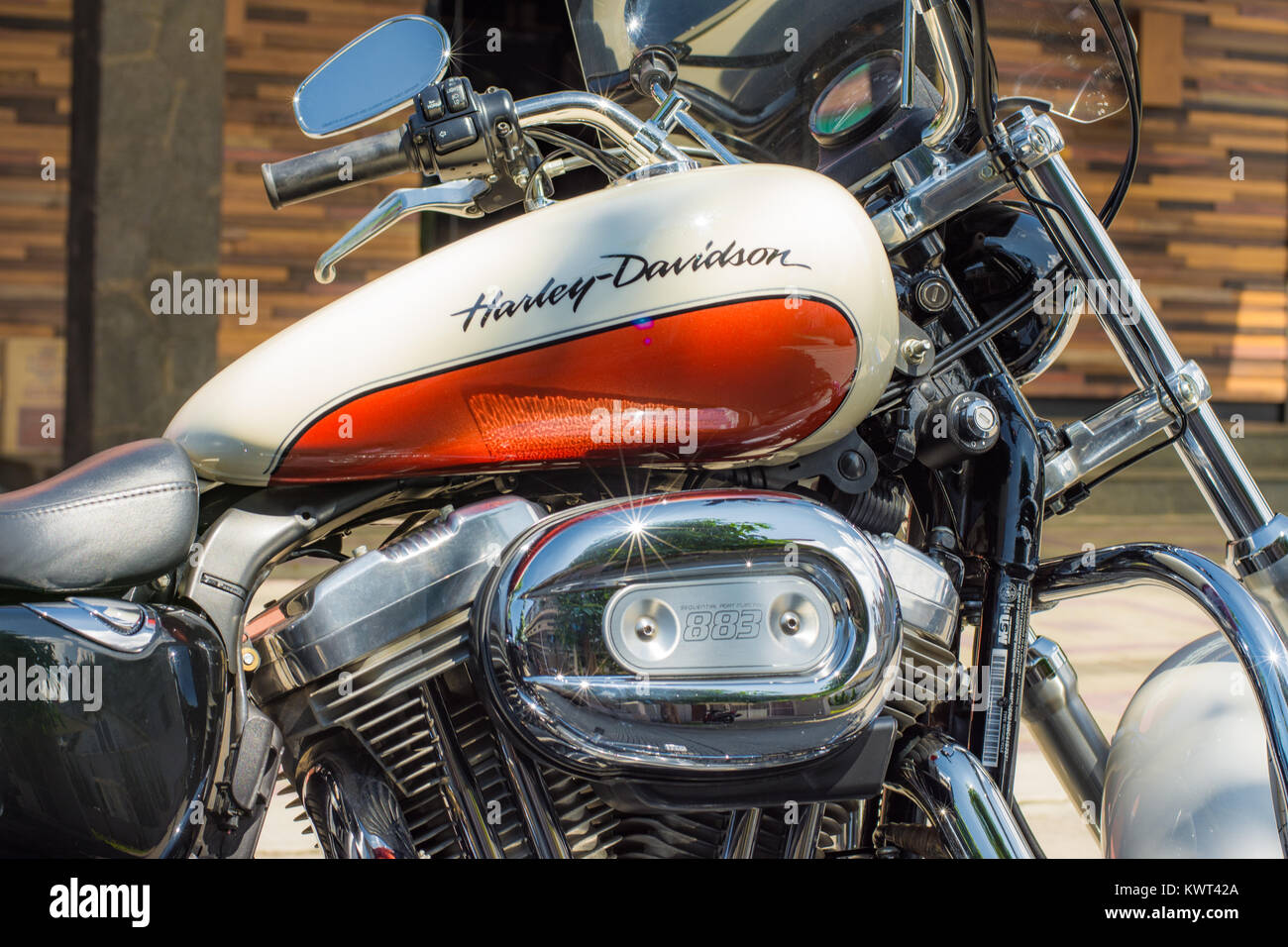 Harley davidson 883 sportster -Fotos und -Bildmaterial in hoher ...