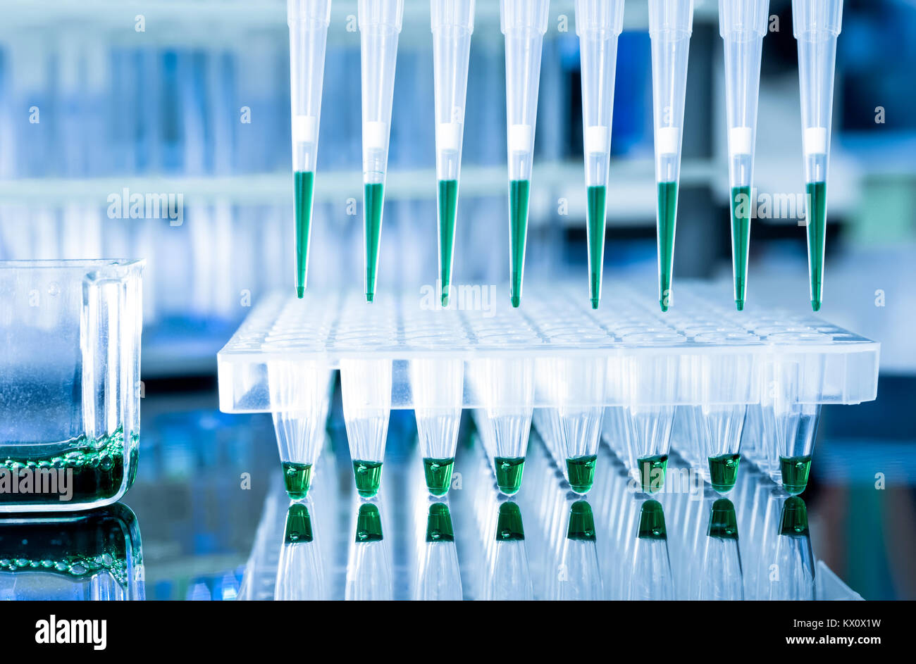 Werkzeuge zur pcr amplifikation von dna -Fotos und -Bildmaterial in ...
