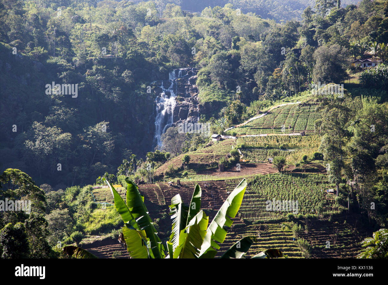 Rawana oder Ravana Falls Wasserfall, Ella, Badulla Bezirk, Uva Provinz ...