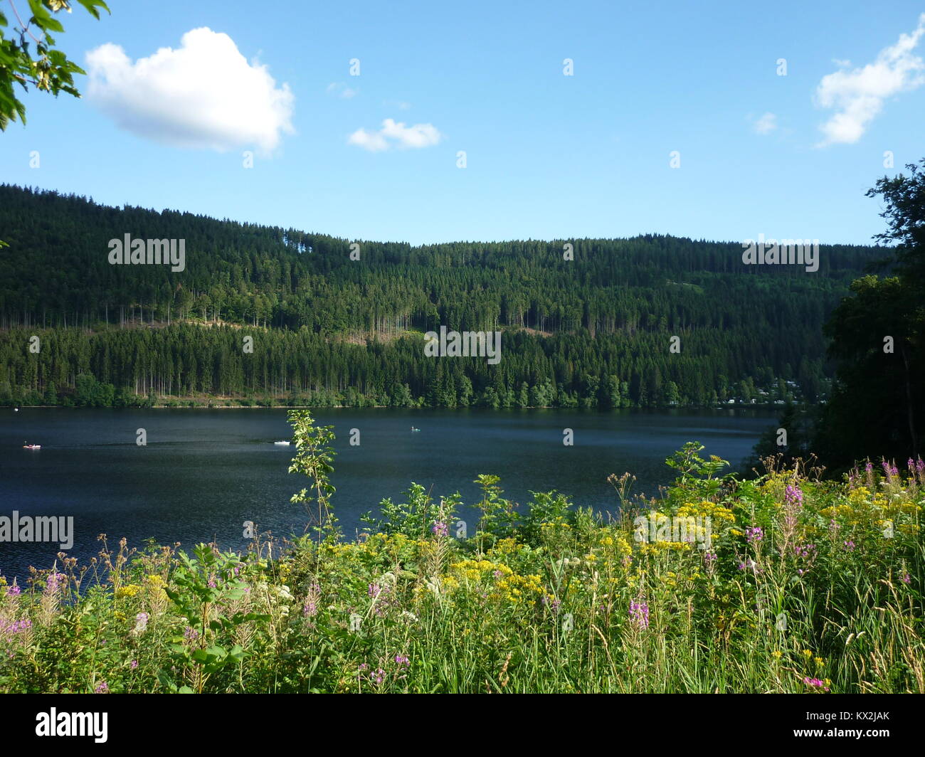 Titisee neustadt schwarzwald -Fotos und -Bildmaterial in hoher ...