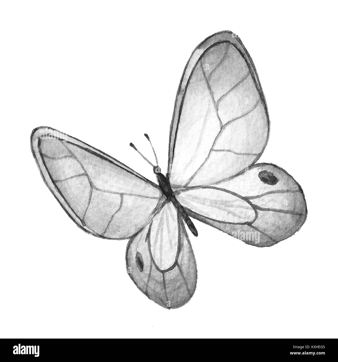 Schwarz weiß schmetterling clipart -Fotos und -Bildmaterial in hoher ...