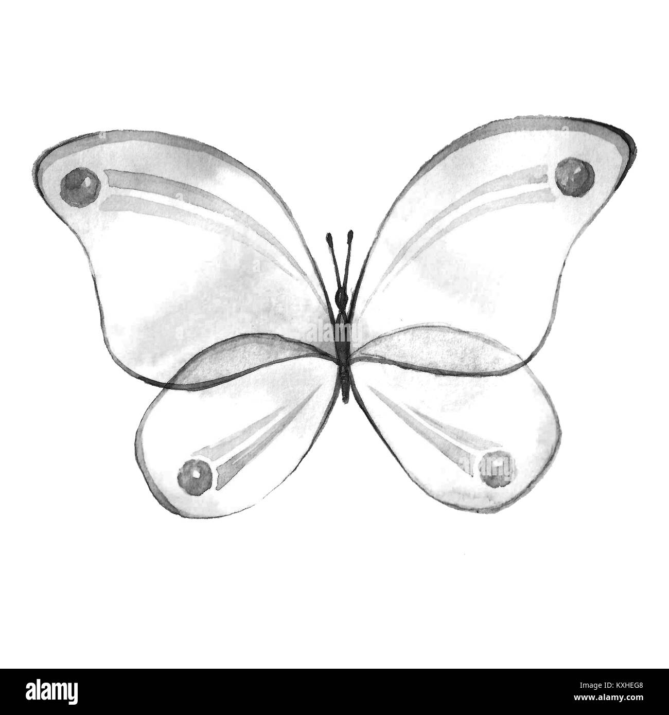 Schwarzweiss clipart schmetterling -Fotos und -Bildmaterial in hoher ...