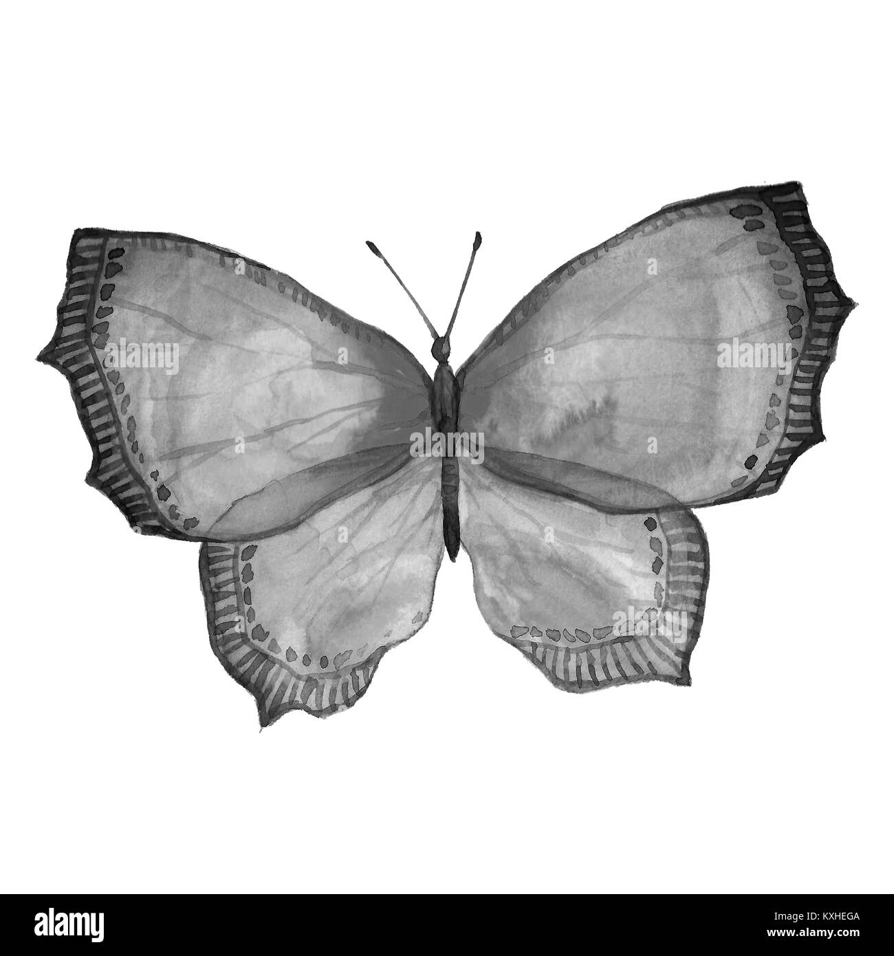 Schmetterling clipart schwarz und weiß Schwarzweiß-Stockfotos und ...