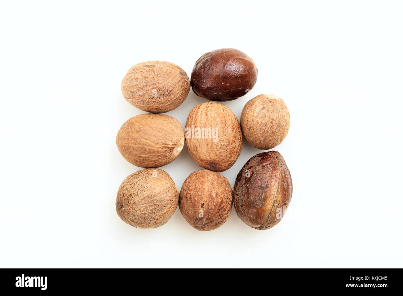 Muscat nut -Fotos und -Bildmaterial in hoher Auflösung – Alamy