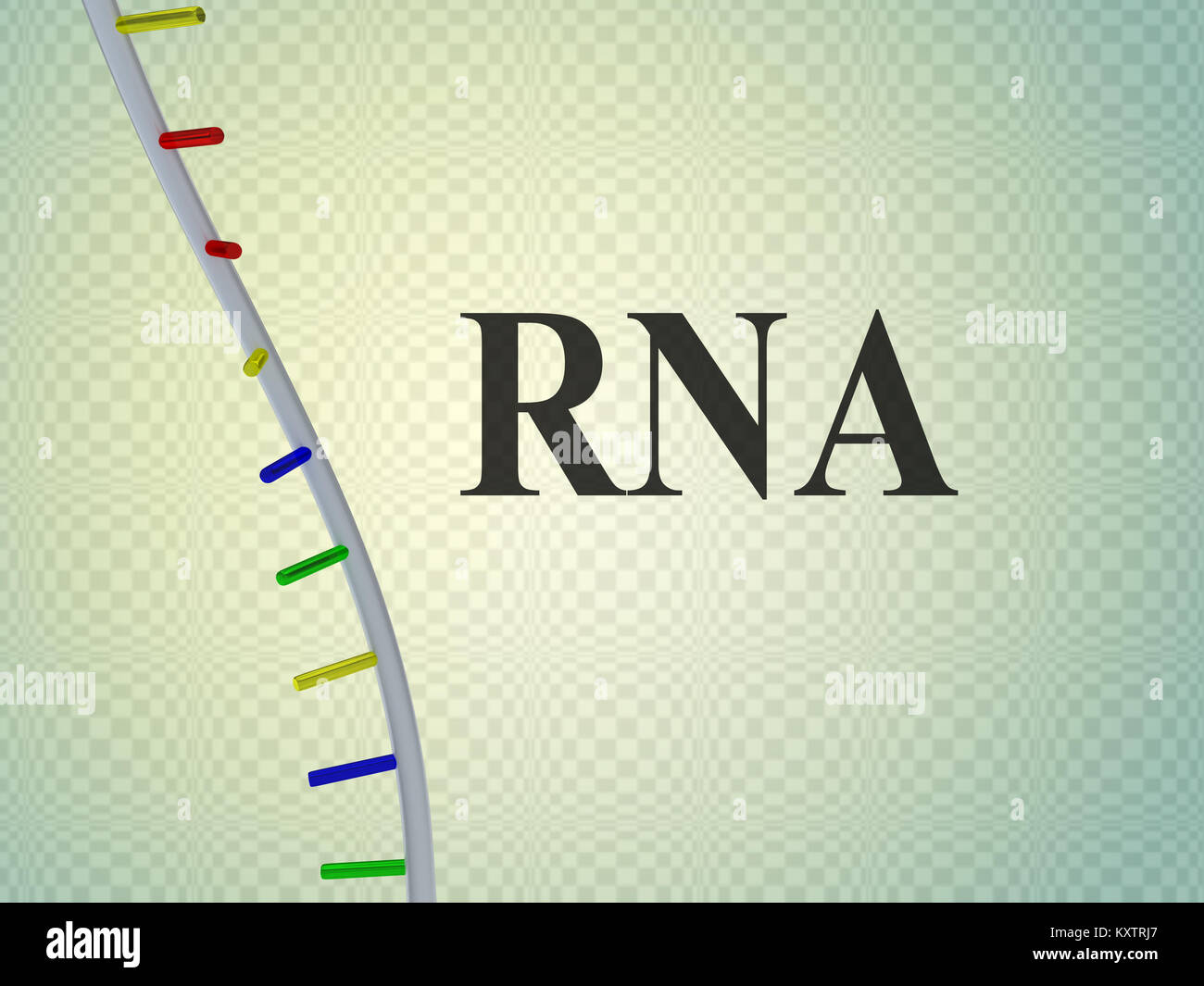 3D-Abbildung der RNA-Skript mit einem Helix, auf hellblauem Hintergrund ...