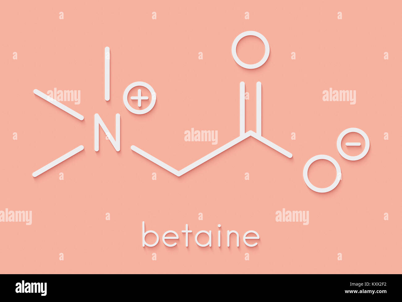 Betain (Glycine Betaine, trimethylglycine) Molekül. Ursprünglich in ...