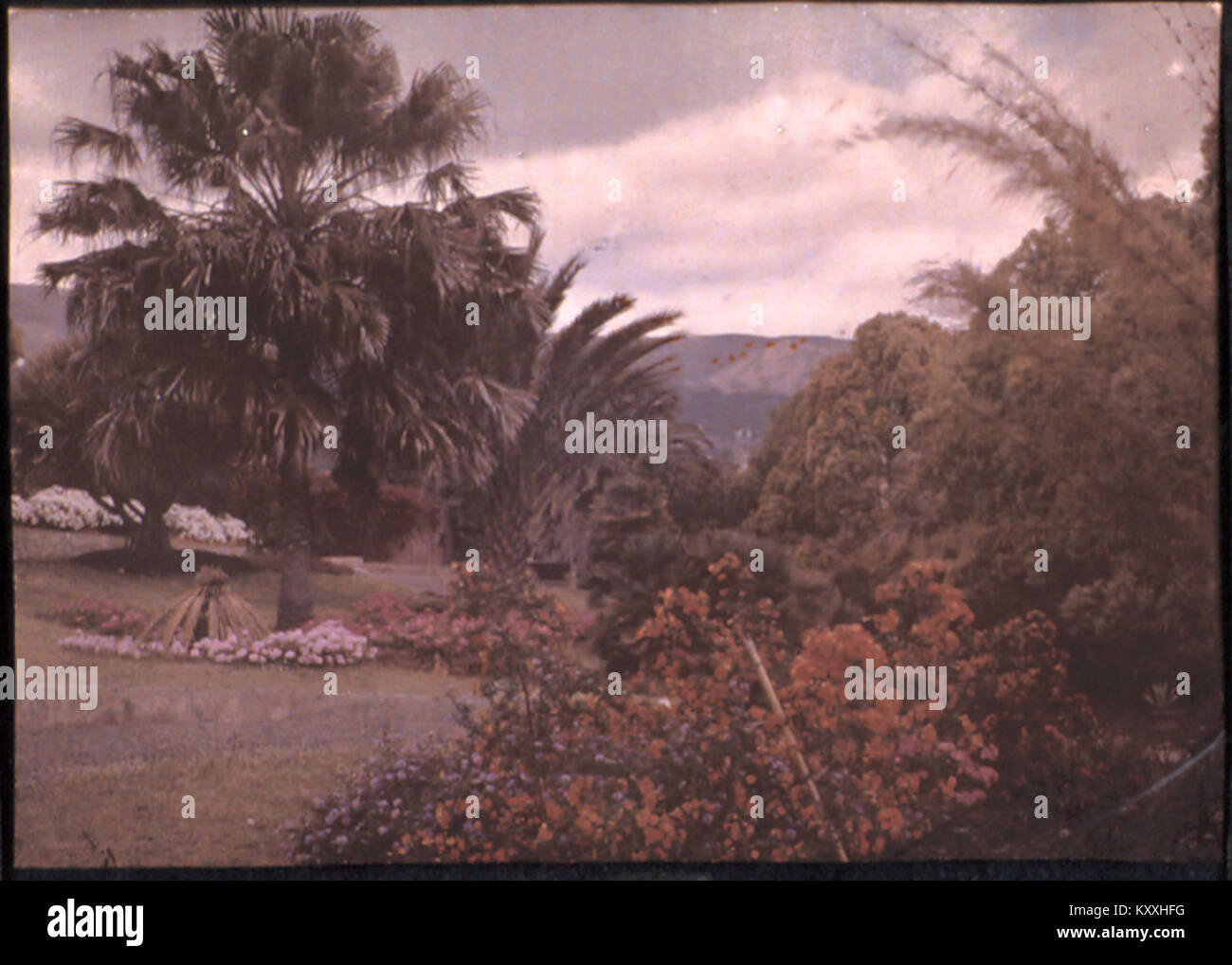 Ein Foto von Sarah Angelina Acland, das um 1910 aufgenommen wurde ...