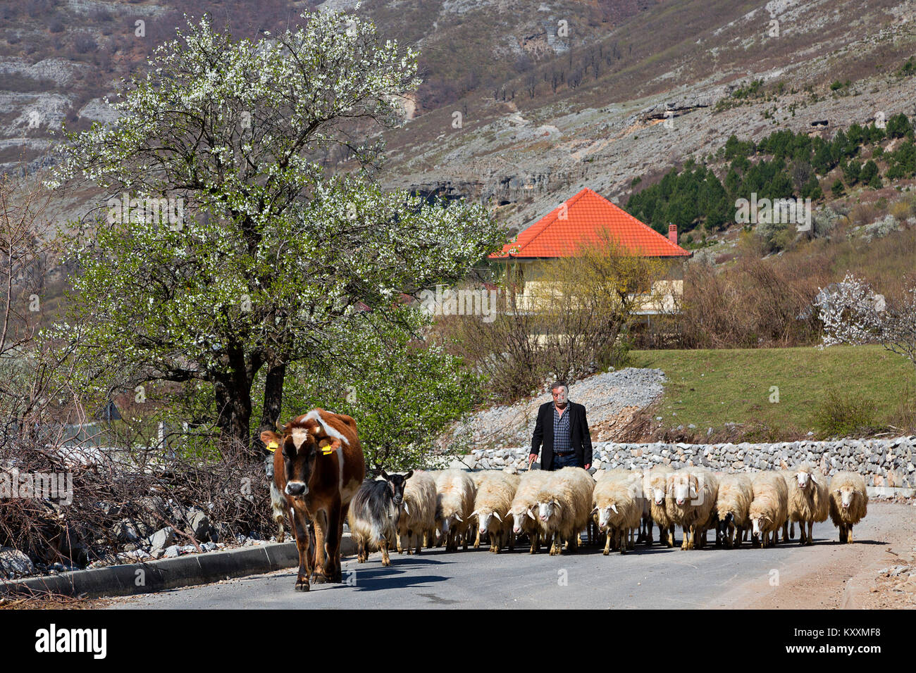 Traditionelle kleidung albaniens -Fotos und -Bildmaterial in hoher ...