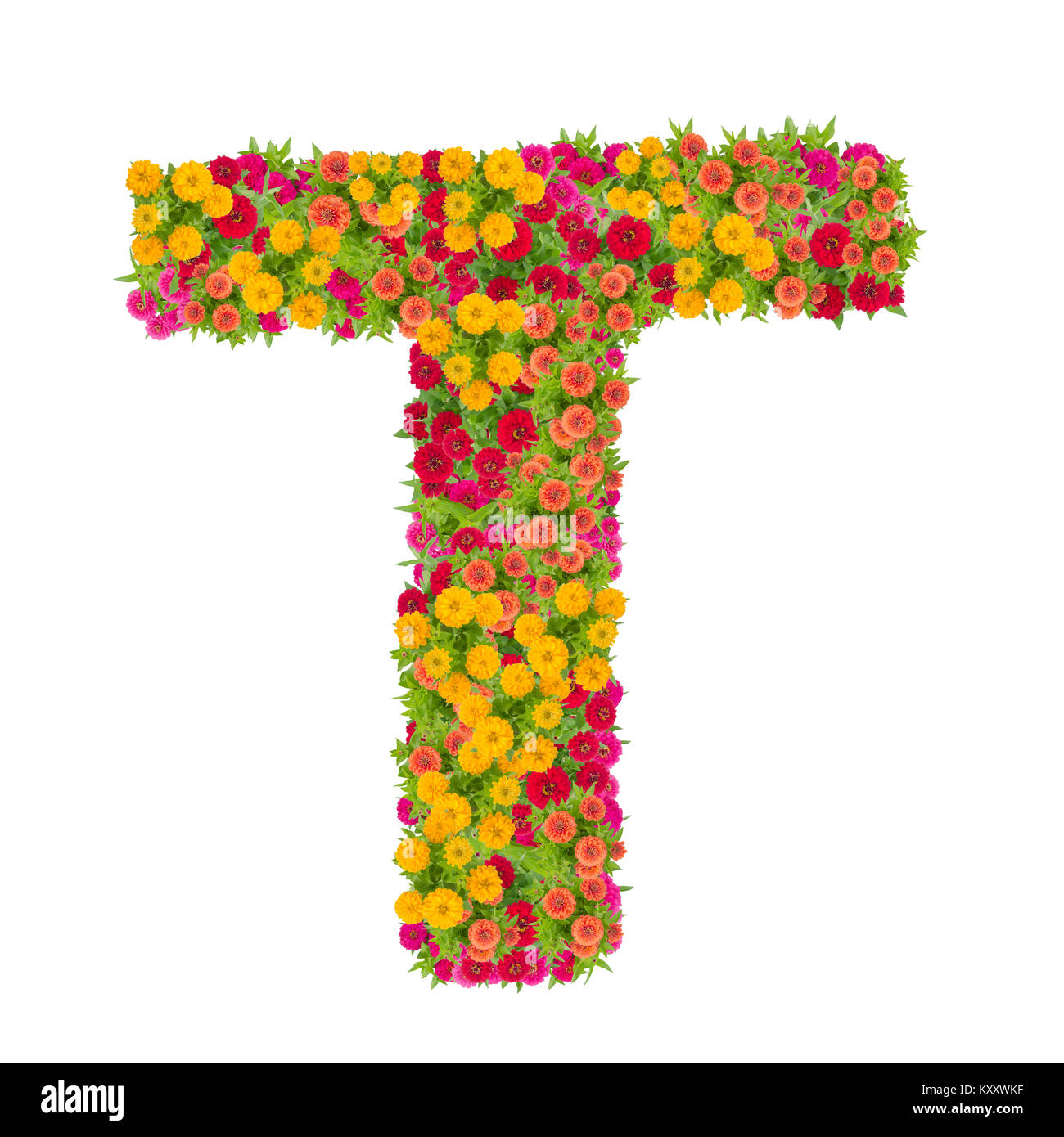 Buchstaben T Alphabet von zinnia Blume ABC Concept Art als Logo ...