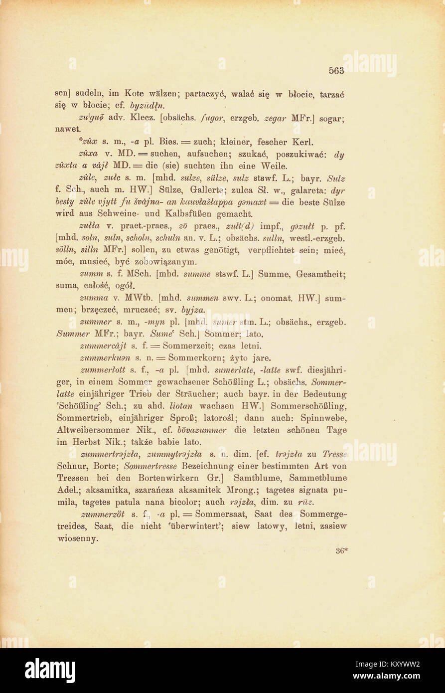 Dieses Bild zeigt eine Seite aus Hermann Mojmirs Wörterbuch über den ...