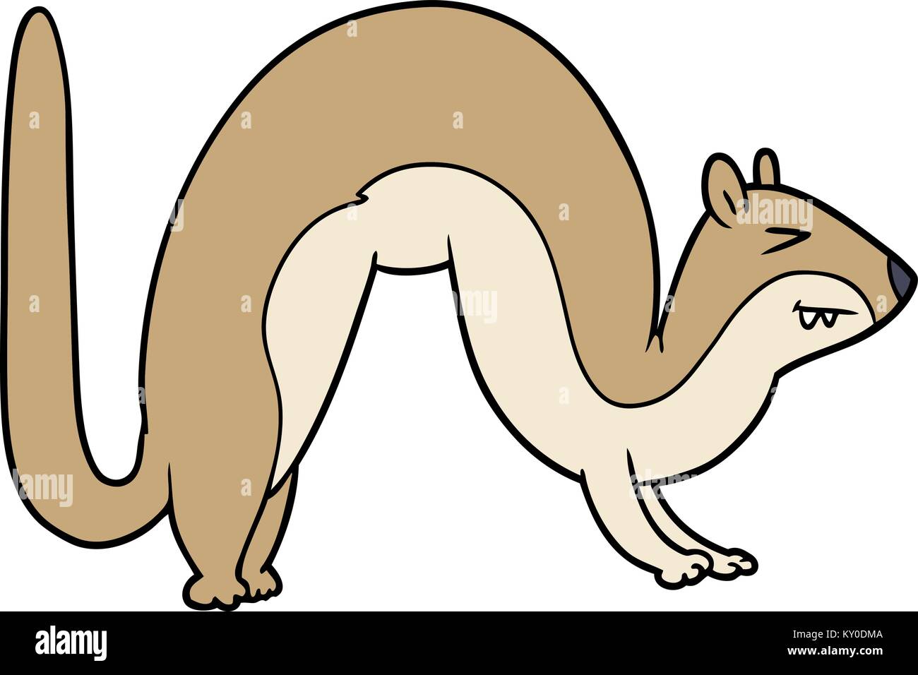 Wiesel gezeichnet Stock-Vektorgrafiken kaufen - Alamy