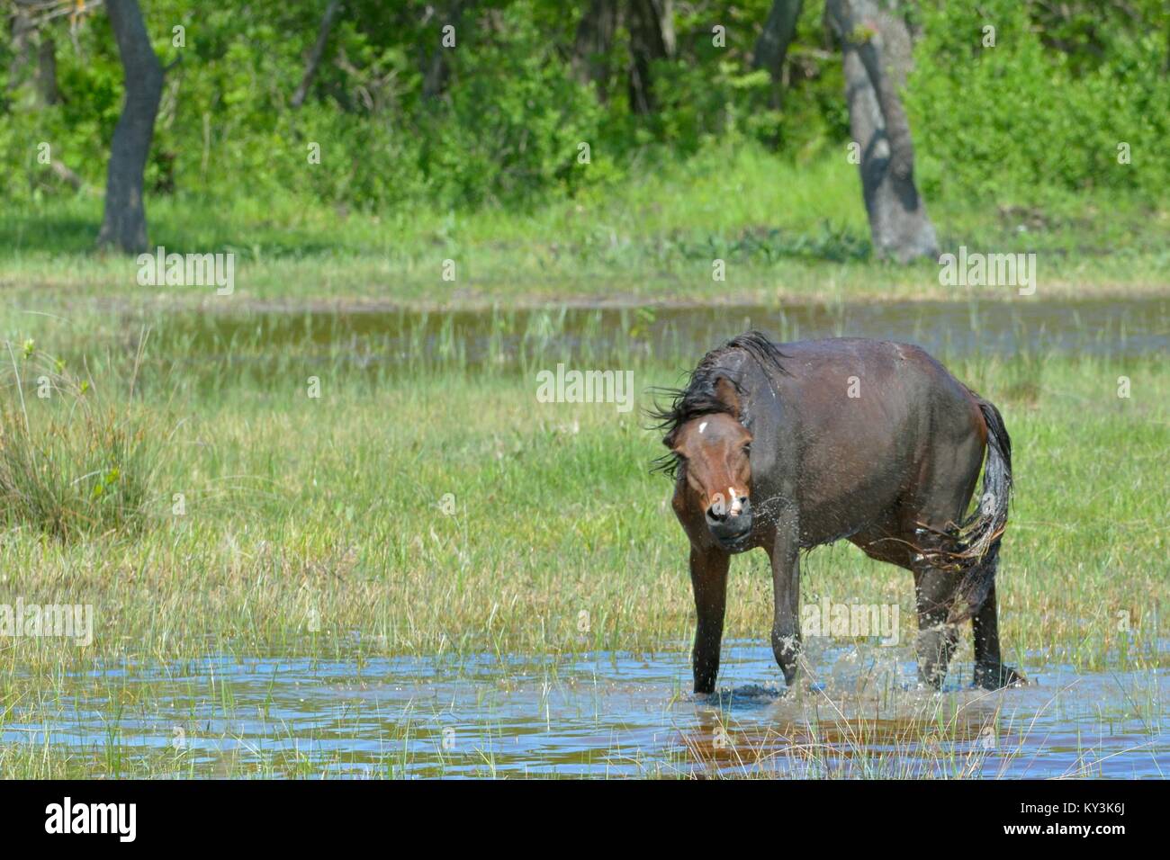 Schlamm badet -Fotos und -Bildmaterial in hoher Auflösung – Alamy