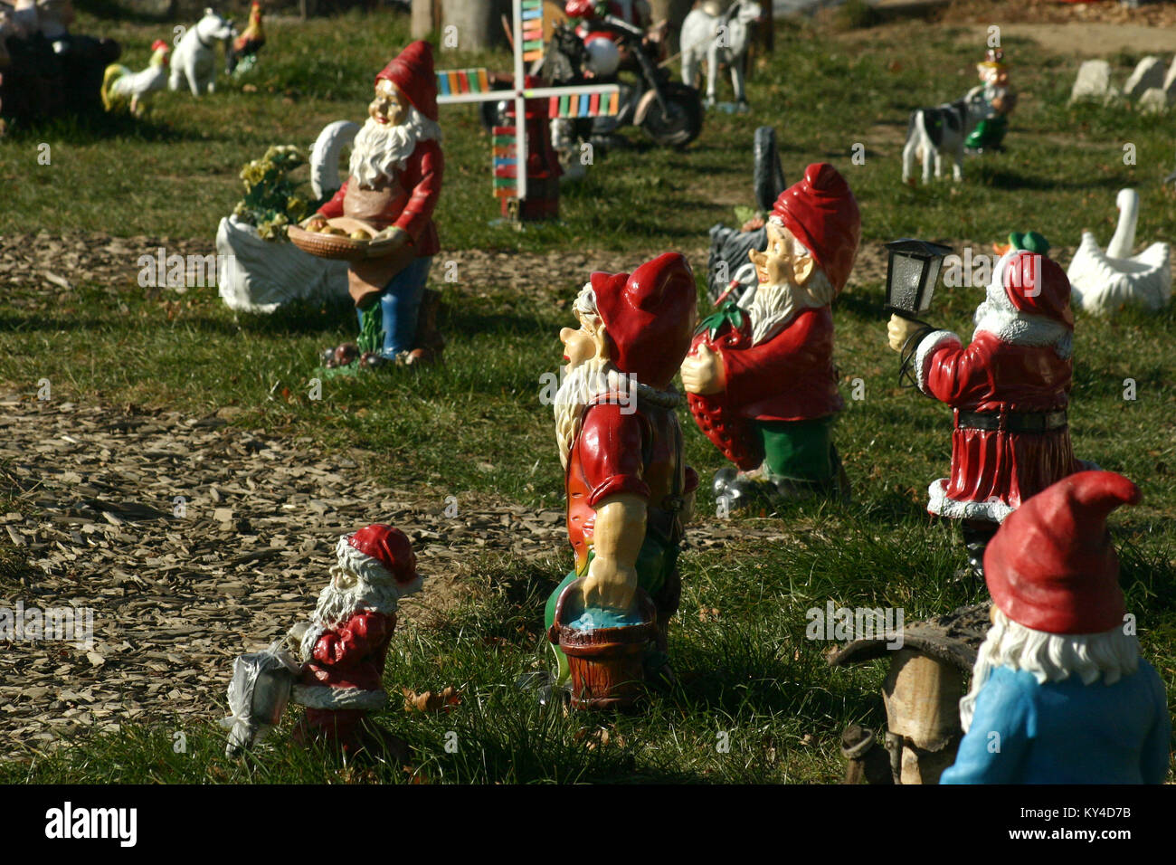 Deutsche zwerge -Fotos und -Bildmaterial in hoher Auflösung – Alamy
