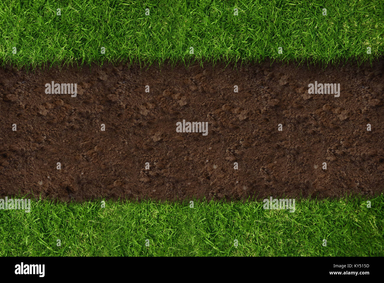 Die linie gras -Fotos und -Bildmaterial in hoher Auflösung – Alamy