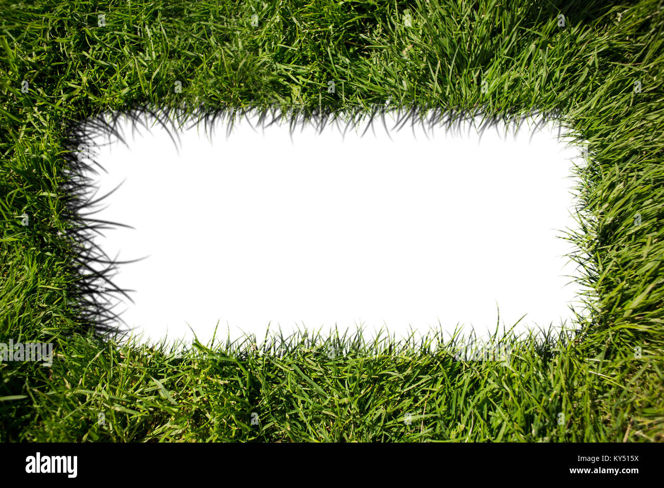 White square -Fotos und -Bildmaterial in hoher Auflösung – Alamy