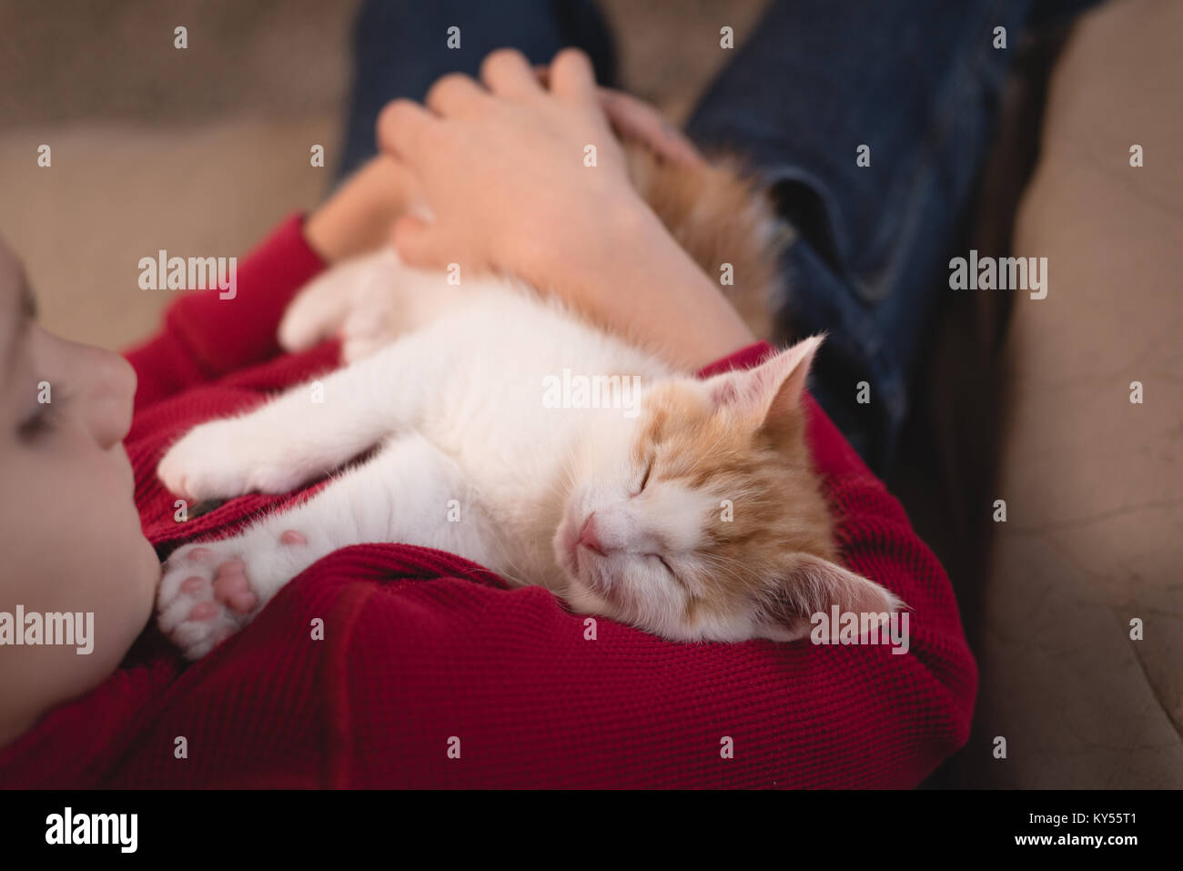 Der junge mit der katze -Fotos und -Bildmaterial in hoher Auflösung – Alamy