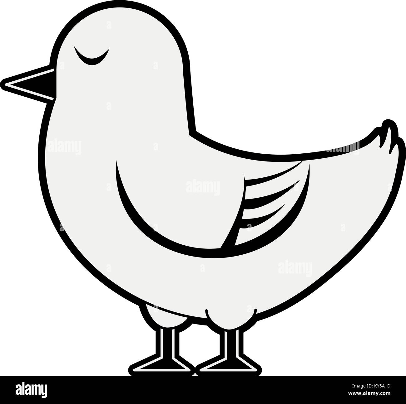 Lustige Taube Comic Stockfotos und -bilder Kaufen - Alamy