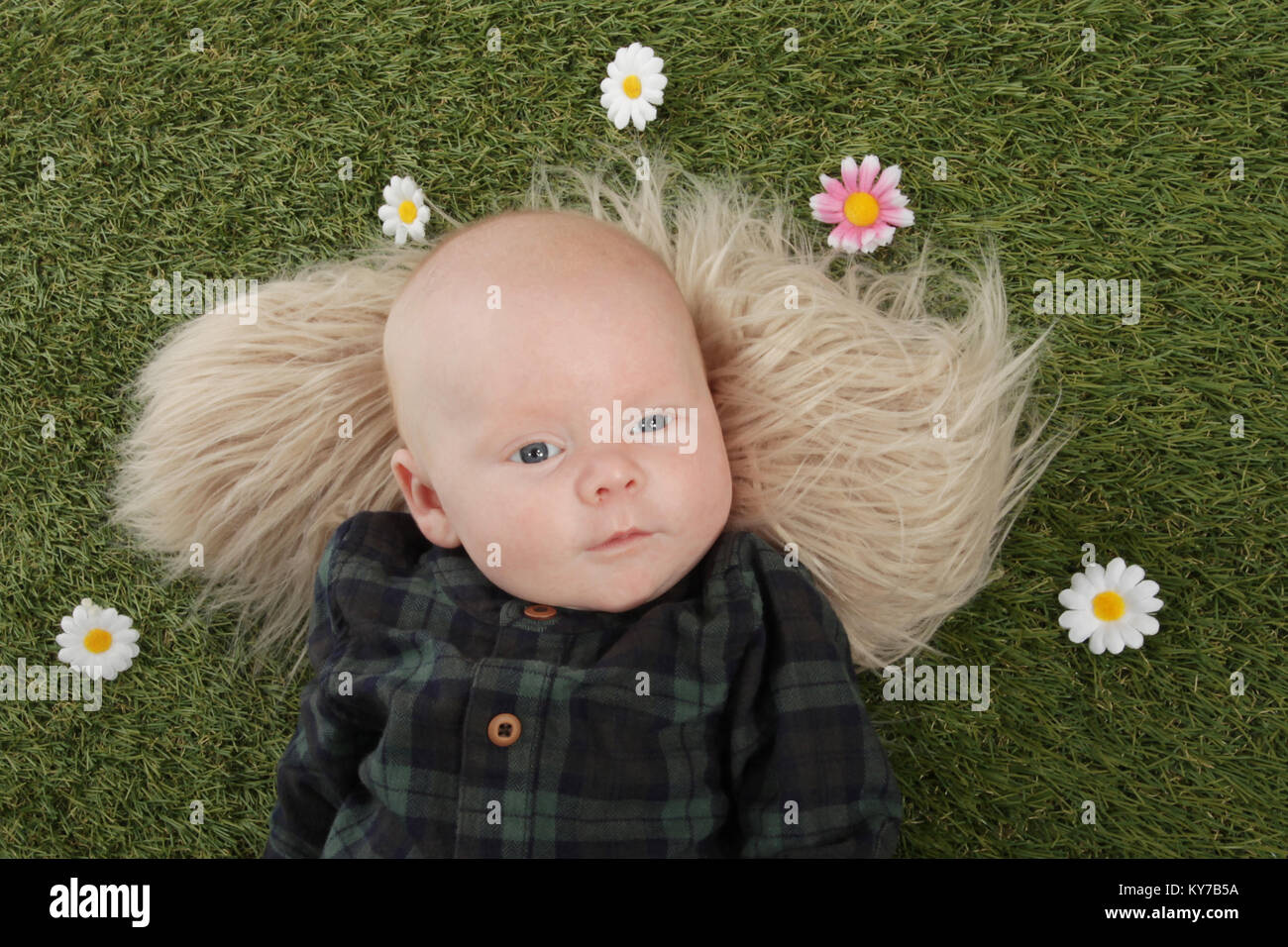 Developmental milestones -Fotos und -Bildmaterial in hoher Auflösung ...