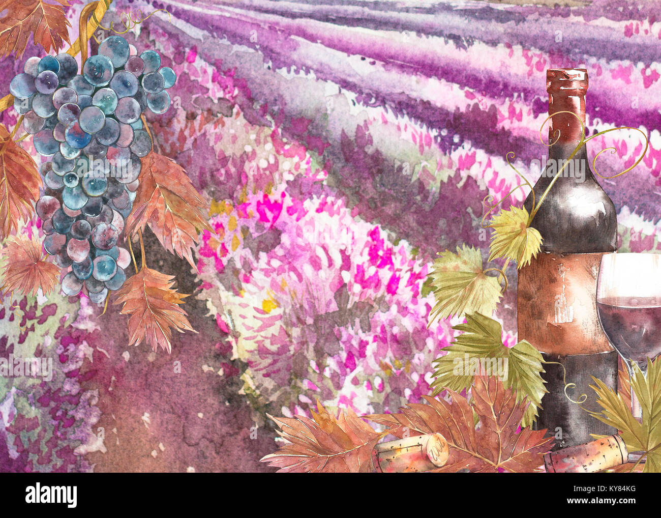 Flaschen und Blätter der Trauben. Hintergrund mit einem lavendelfeld ...