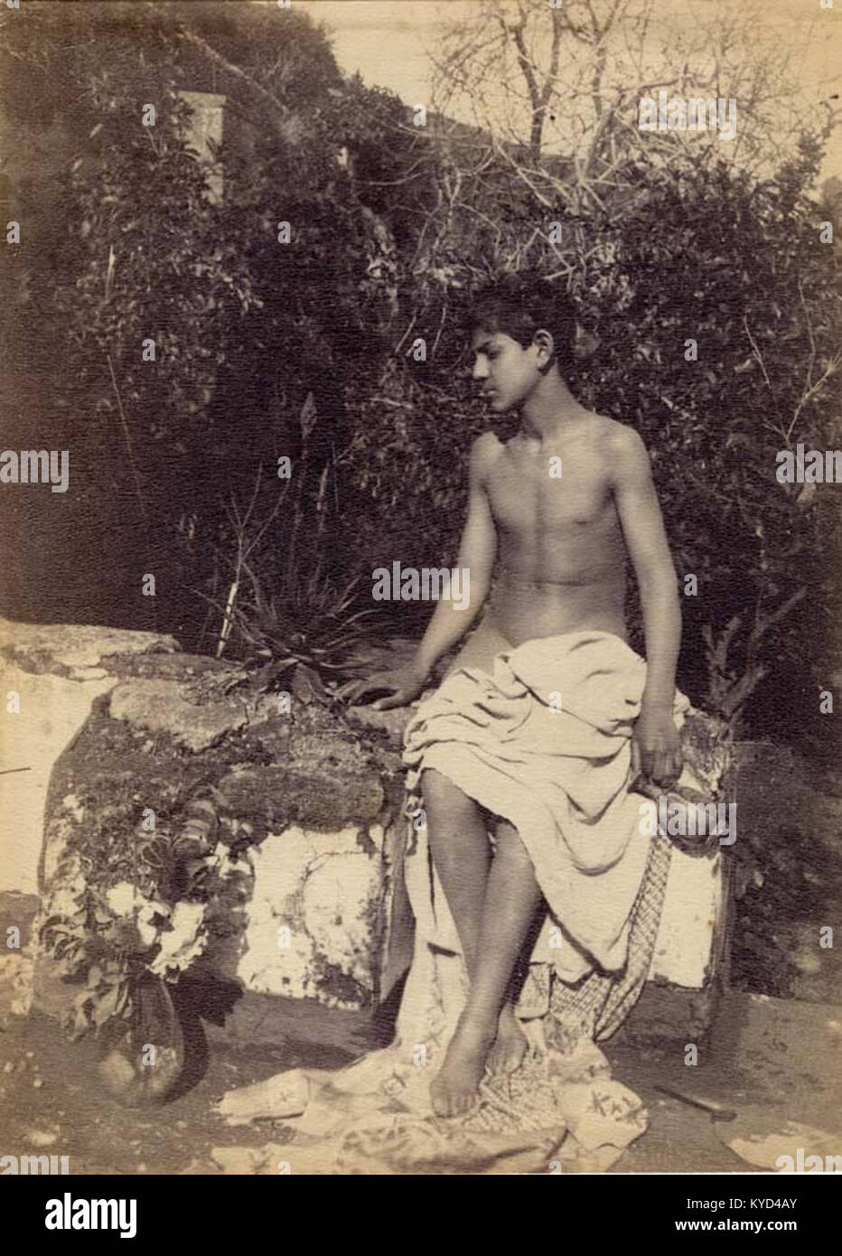 Plüschow, Wilhelm von (1852-1930) - n. 1137 - Vincenzo Galdi ein ...