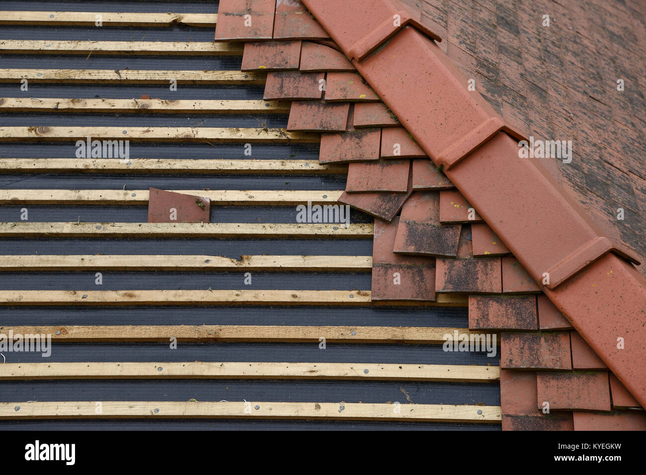 Timber roof -Fotos und -Bildmaterial in hoher Auflösung – Alamy