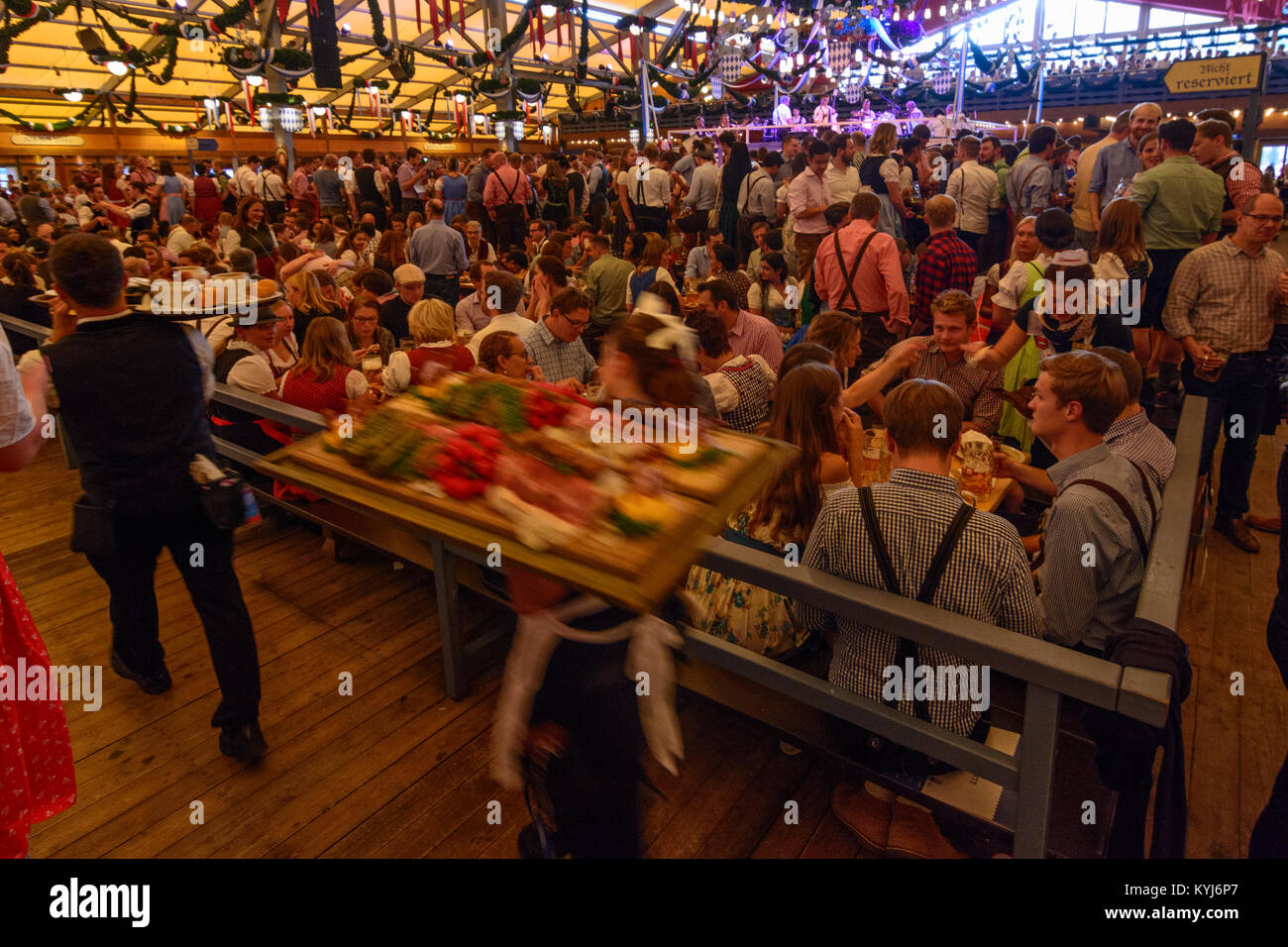 Oktoberfest waitress beer -Fotos und -Bildmaterial in hoher Auflösung ...