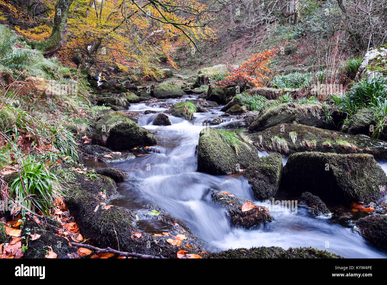 Pistyll rhaeadr wasserfall powys -Fotos und -Bildmaterial in hoher ...