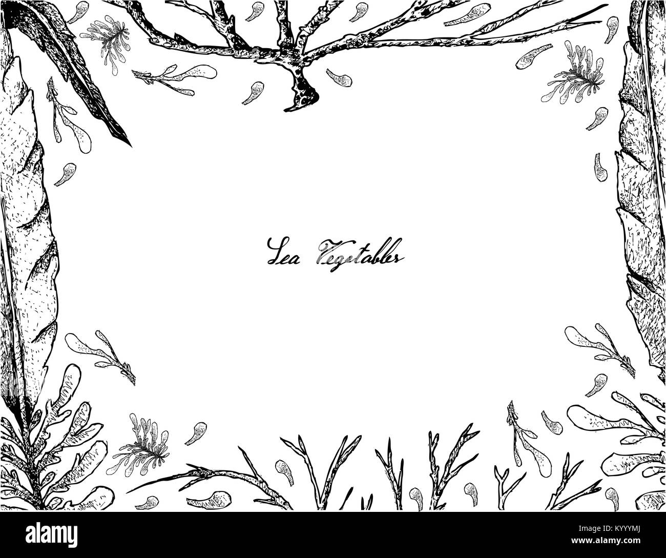 Meer Gemüse, Hintergrund von Hand gezeichnete Skizze und Ogonori ...