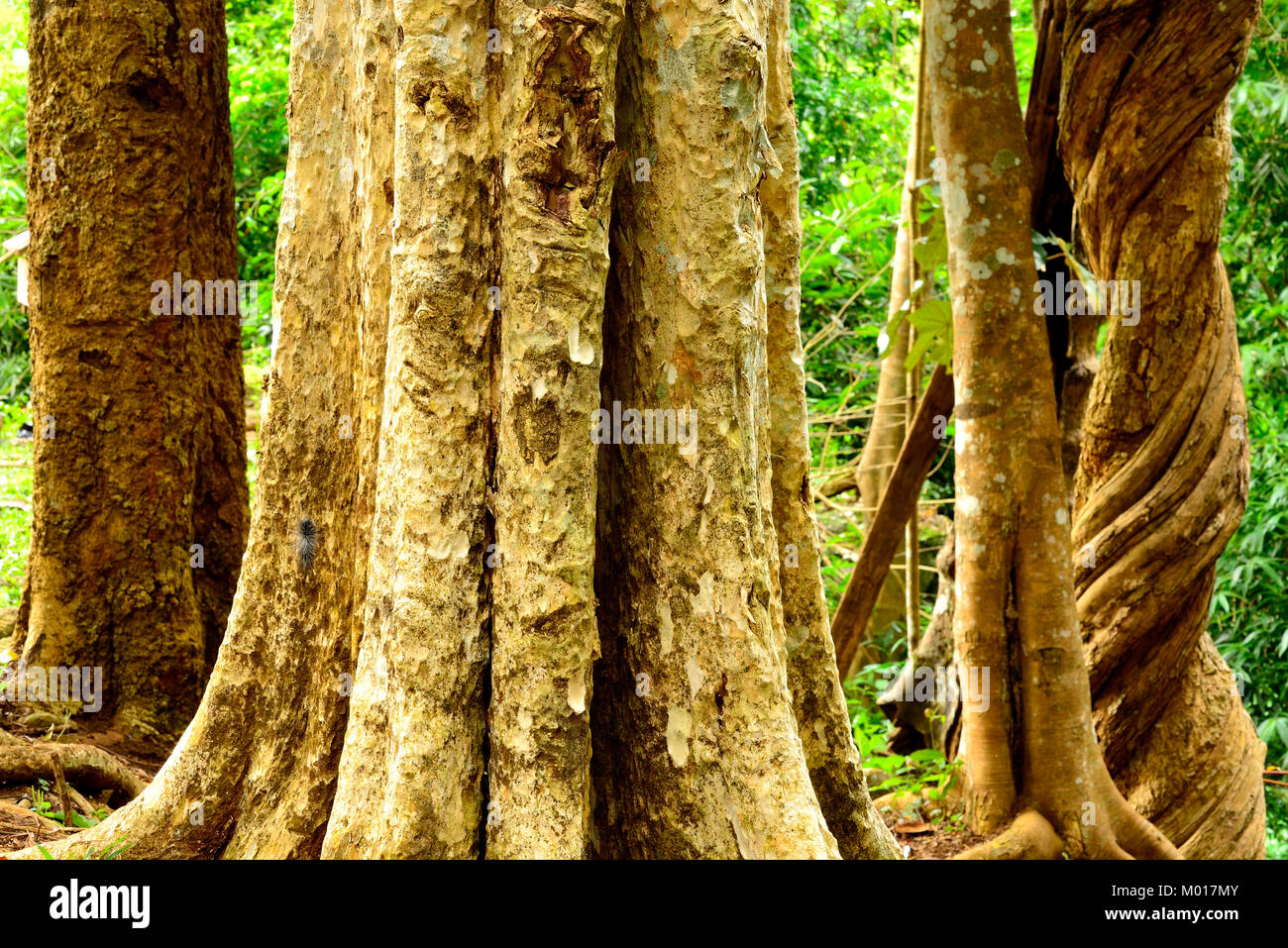 Dak dam -Fotos und -Bildmaterial in hoher Auflösung – Alamy