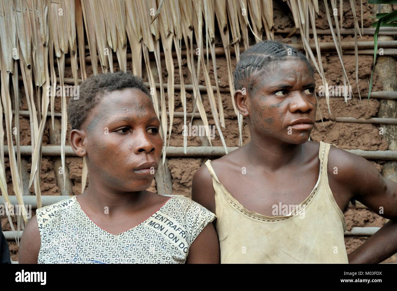 Pygmies congo -Fotos und -Bildmaterial in hoher Auflösung – Alamy
