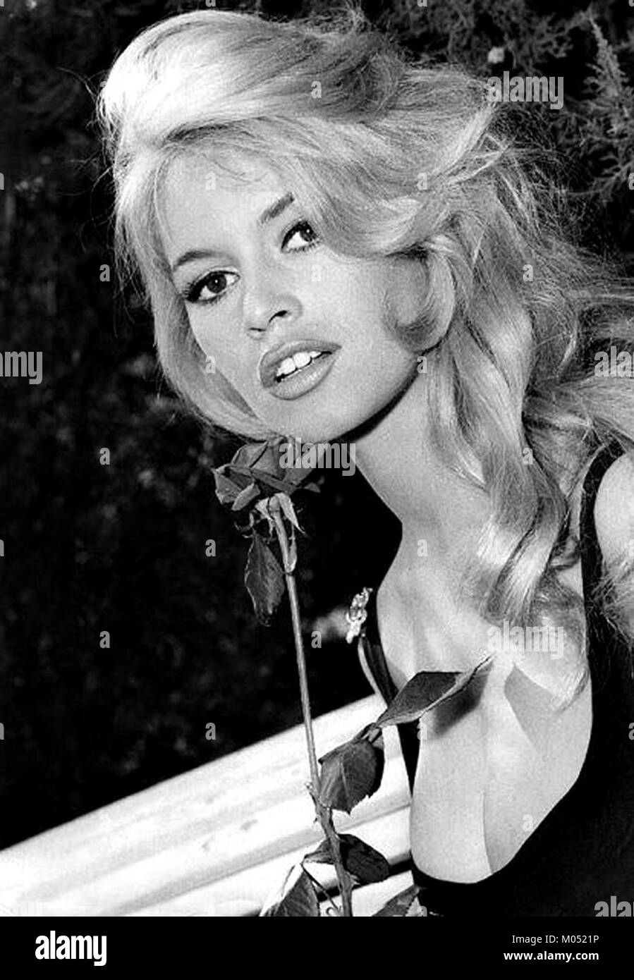 Brigitte Bardot Fotos Und Bildmaterial In Hoher Auflösung Alamy