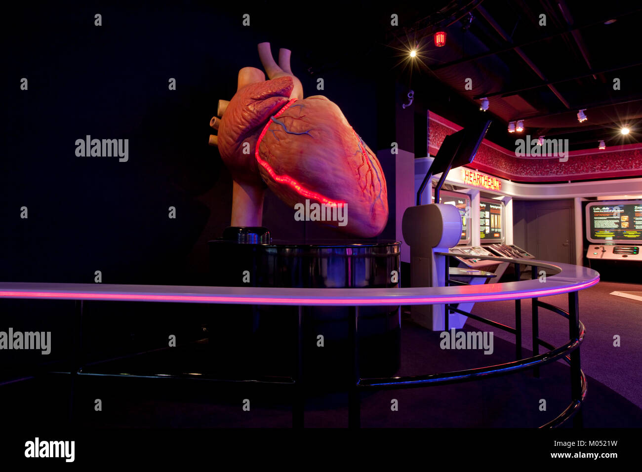 Anatomie museum -Fotos und -Bildmaterial in hoher Auflösung – Alamy