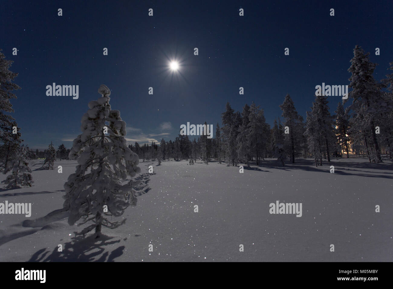 Ariel mond -Fotos und -Bildmaterial in hoher Auflösung – Alamy