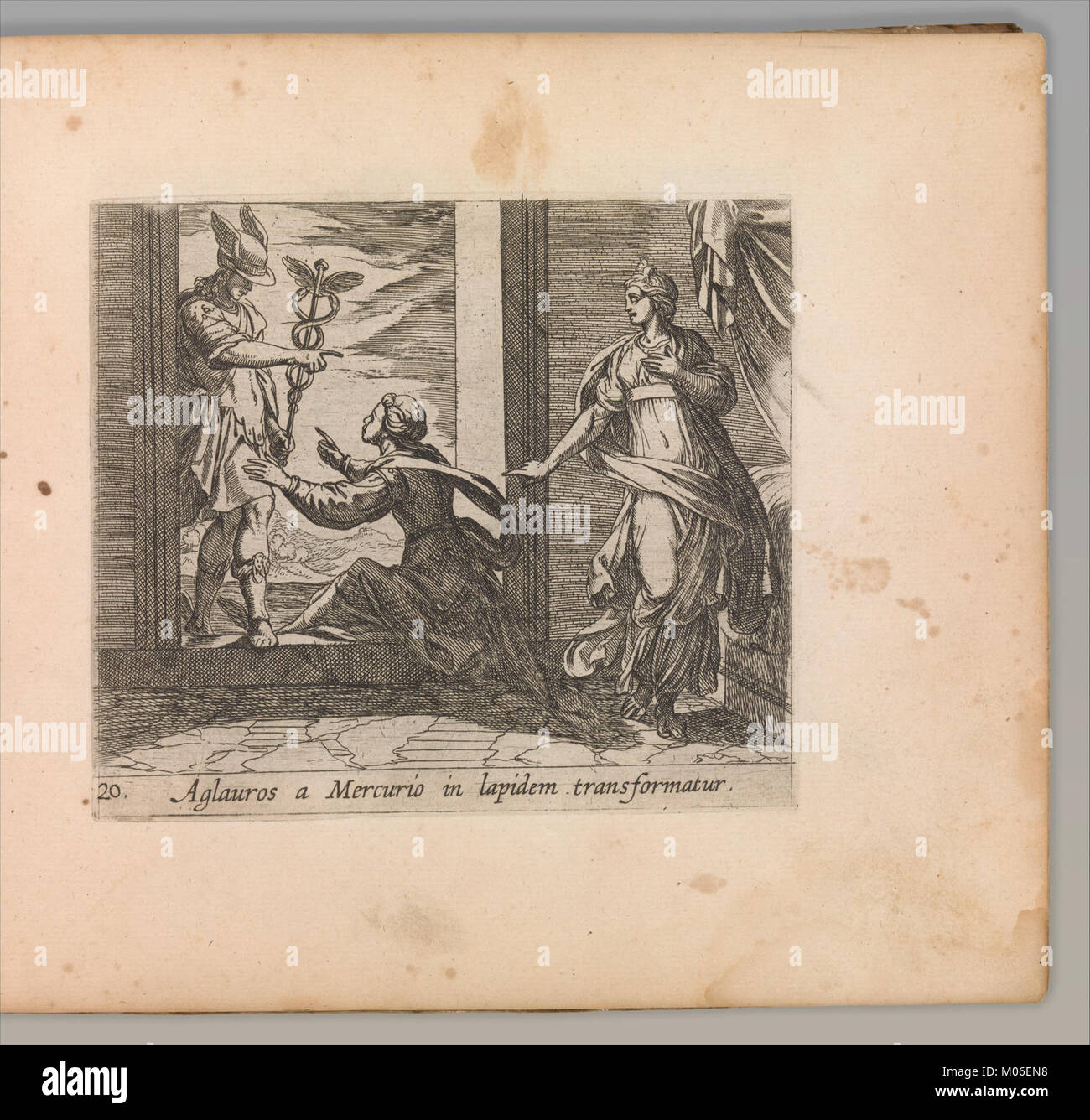 Metamorphosen durch ovid -Fotos und -Bildmaterial in hoher Auflösung ...