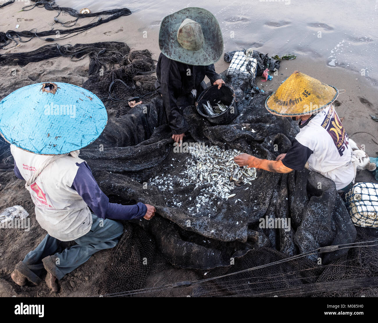 Sumatra fischer -Fotos und -Bildmaterial in hoher Auflösung – Alamy