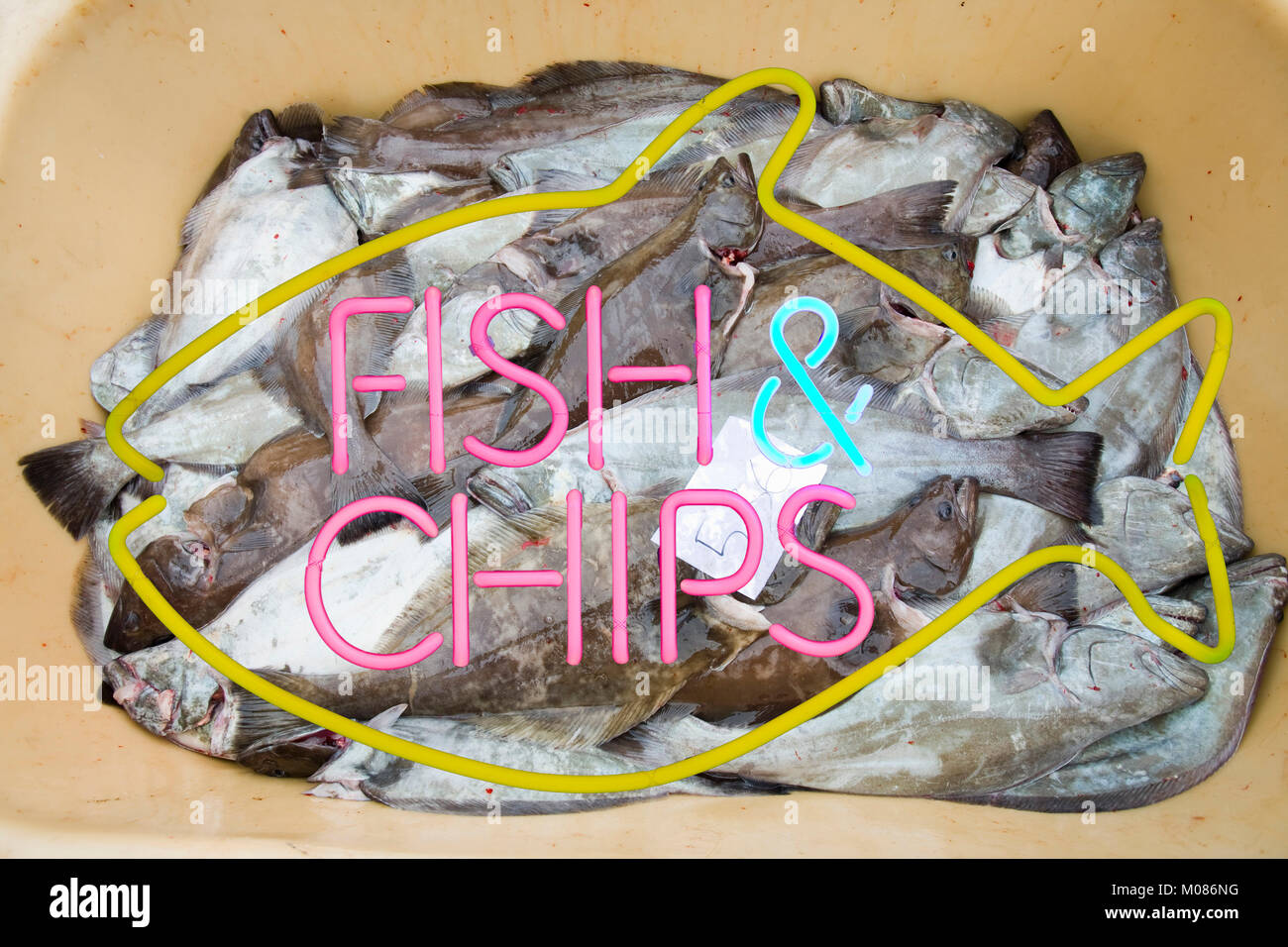 Heilbutt fisch -Fotos und -Bildmaterial in hoher Auflösung – Alamy