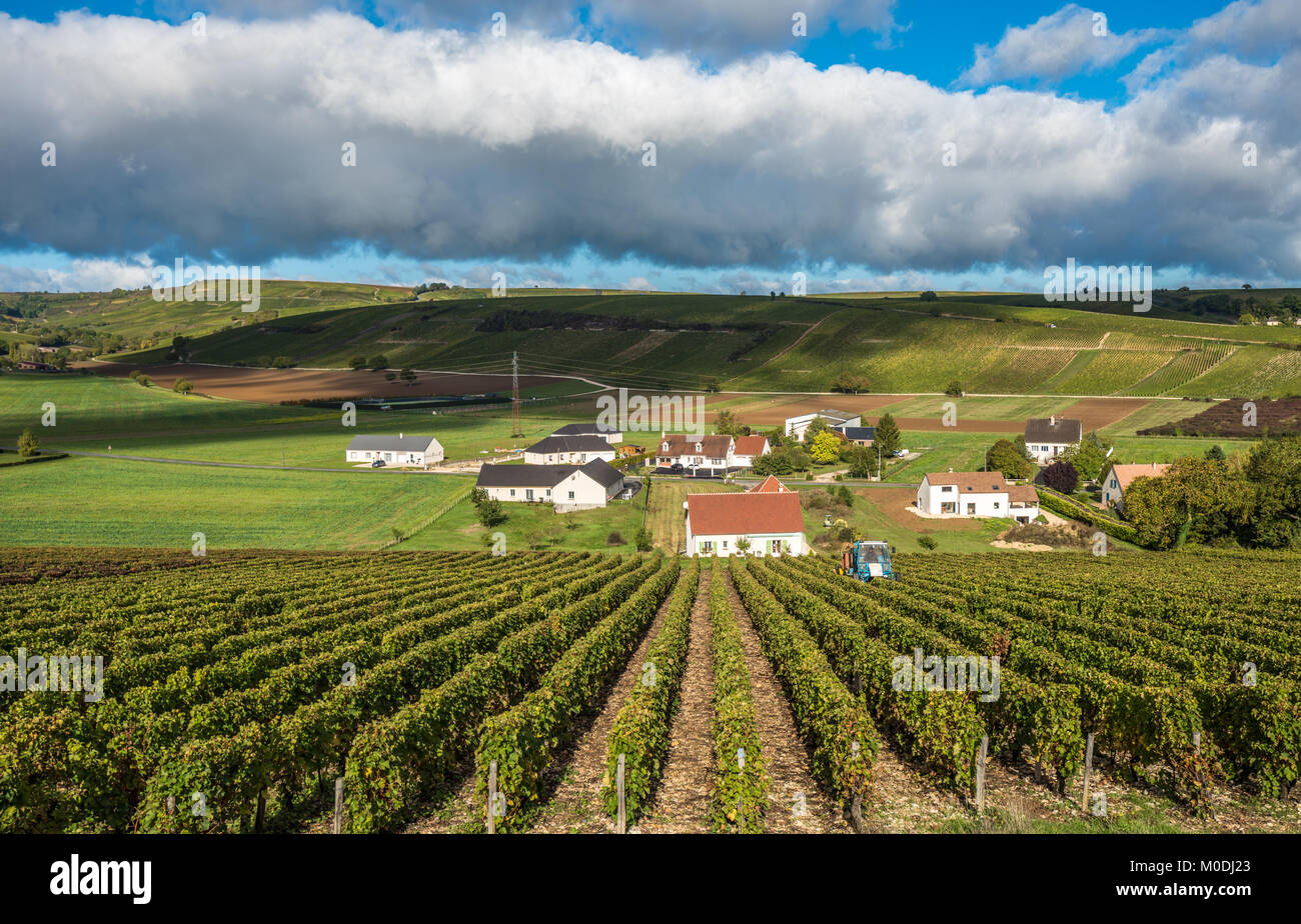 Weinberg landschaft sonne frankreich -Fotos und -Bildmaterial in hoher ...