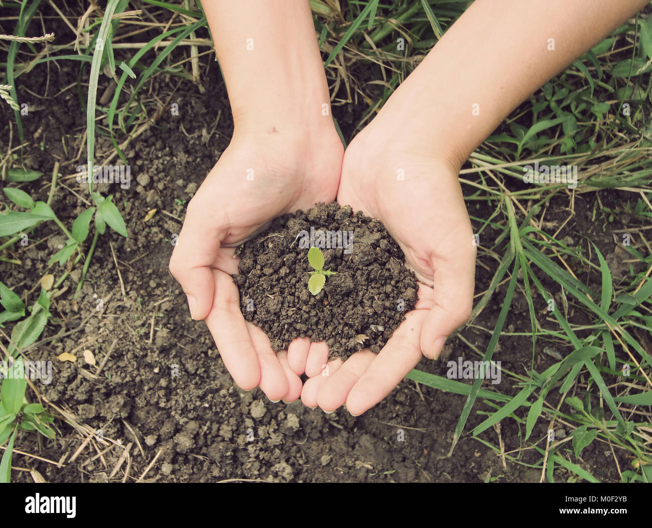 Humus und boden -Fotos und -Bildmaterial in hoher Auflösung – Alamy