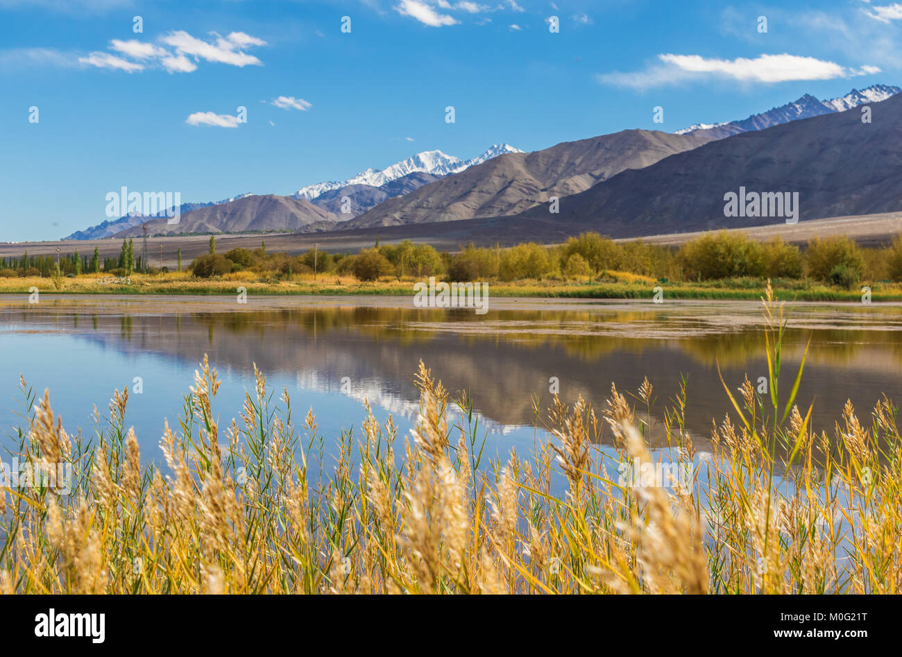 LEH, Jammu und Kaschmir - Indien - entlang des Indus Tal, direkt an der ...