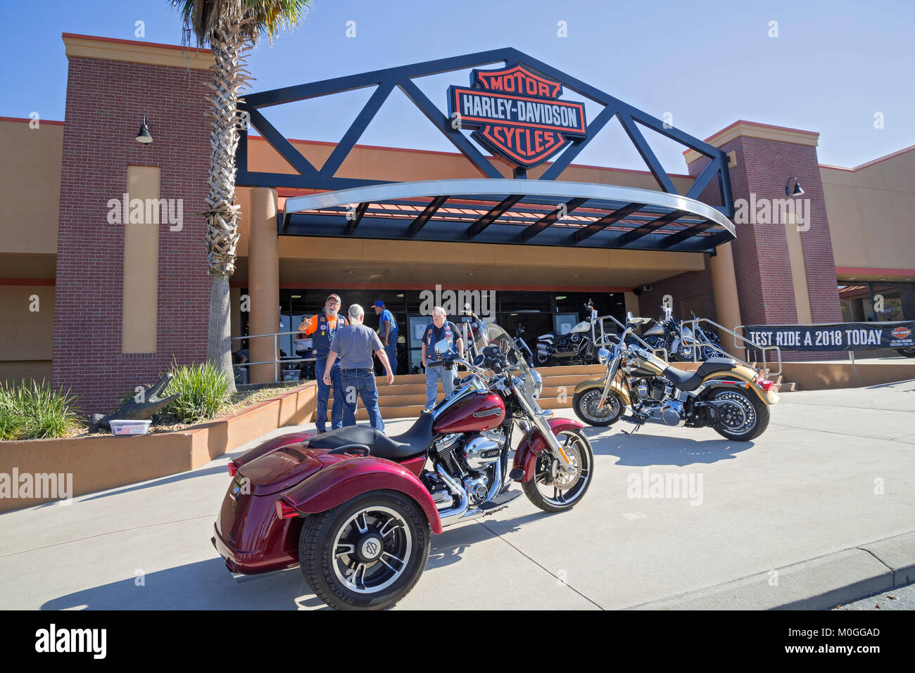 Harley davidson motorcycle florida usa -Fotos und -Bildmaterial in ...